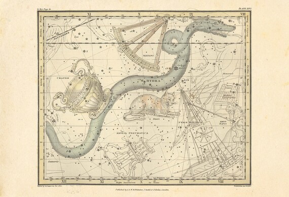 HYDRA and FELIS Star Map Print Zodiac Sign Print