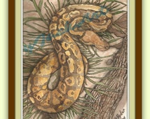 Popular items for ball python on Etsy