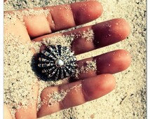 Popular items for seashell ring on Etsy