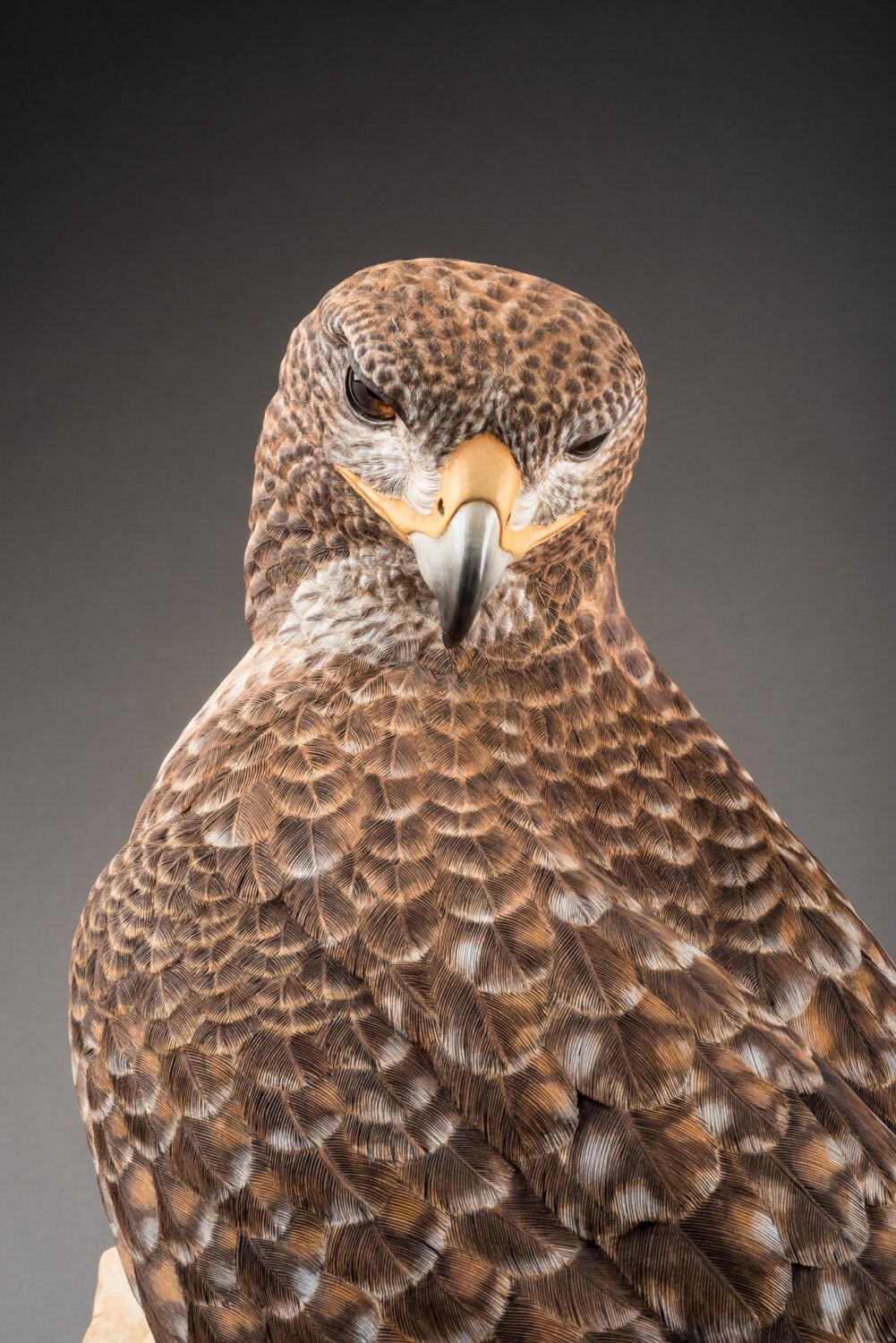 Life-size Red Tail Hawk Sculpture Wood carving bird raptor