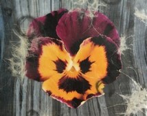 Popular items for pansy art on Etsy