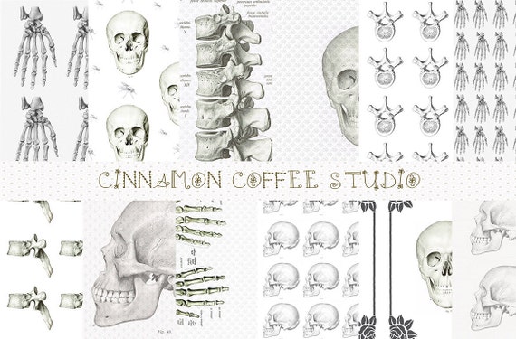 Human Skeleton Digital Papers Skull and Bones Digital Papers