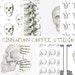 Human Skeleton Digital Papers Skull and by CinnamonCoffeeStudio