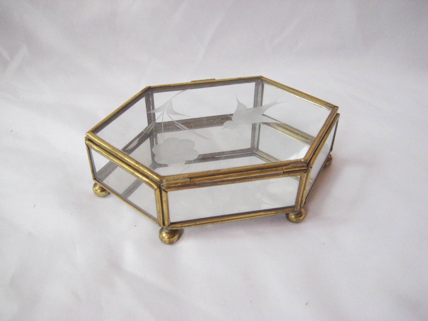Glass brass sis sided box, hinged lid, terrarium, shadowbox, display ...