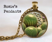Items similar to Barrel Cactus Cacti Pendant Necklace - Botanical ...