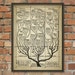 Tree of Life Wall Art Poster 2 Evolution Science Print