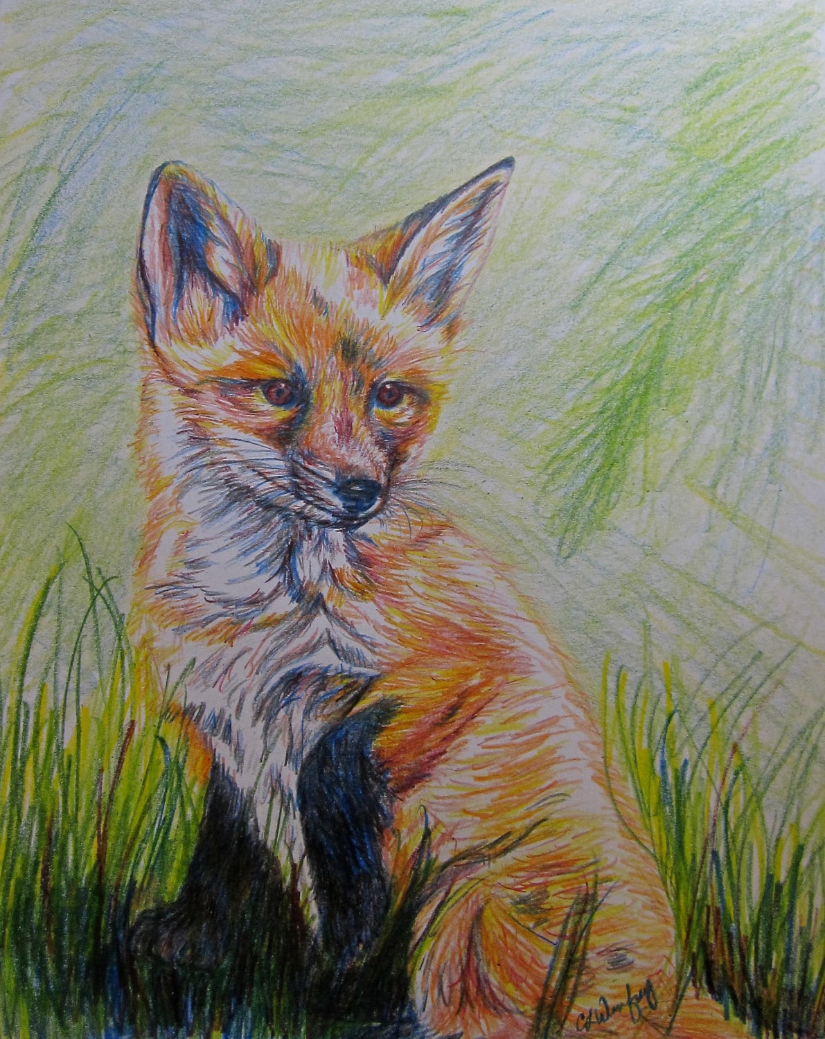 Fox kit cub or pup drawing. Ready to frame original artwork.