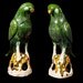 Rare pair of Tang parrots. AD 618690 & 705907