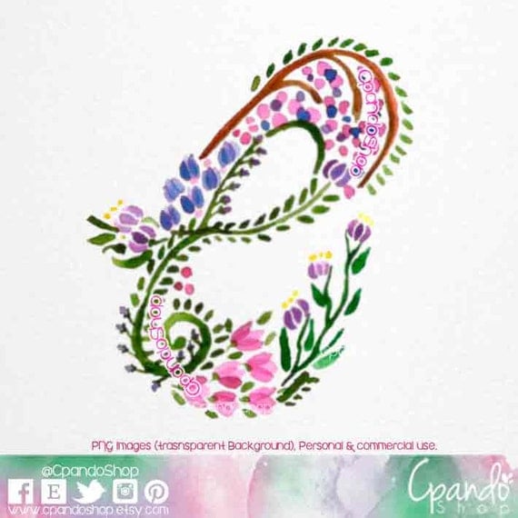 lettering letter e initial e typography e calligraphy e