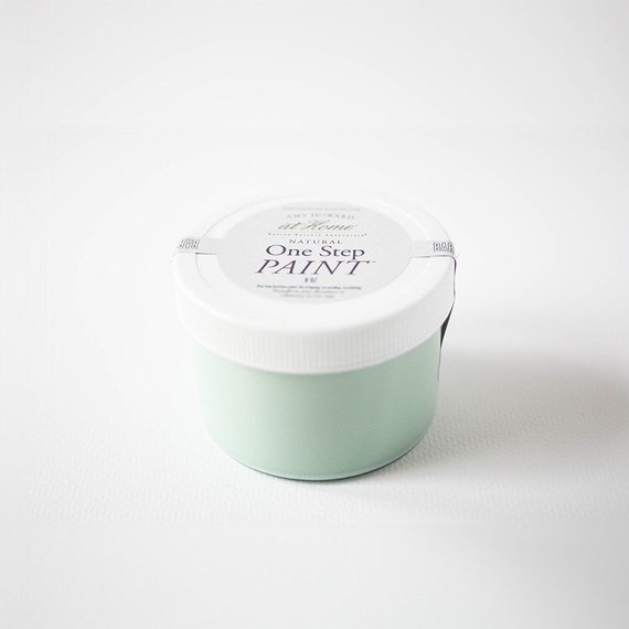 Amy Howard One Step Paint Pot 8oz size
