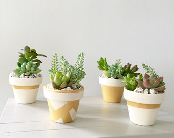 Items similar to Set of 10 dip dyed mini terracotta pots - gray and ...