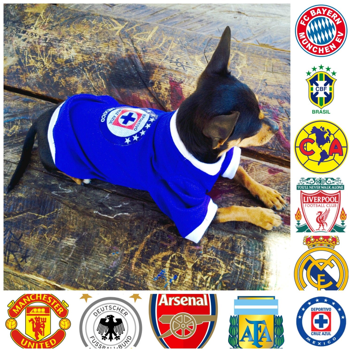 Playera fútbol para perro Playera para perro Camiseta de