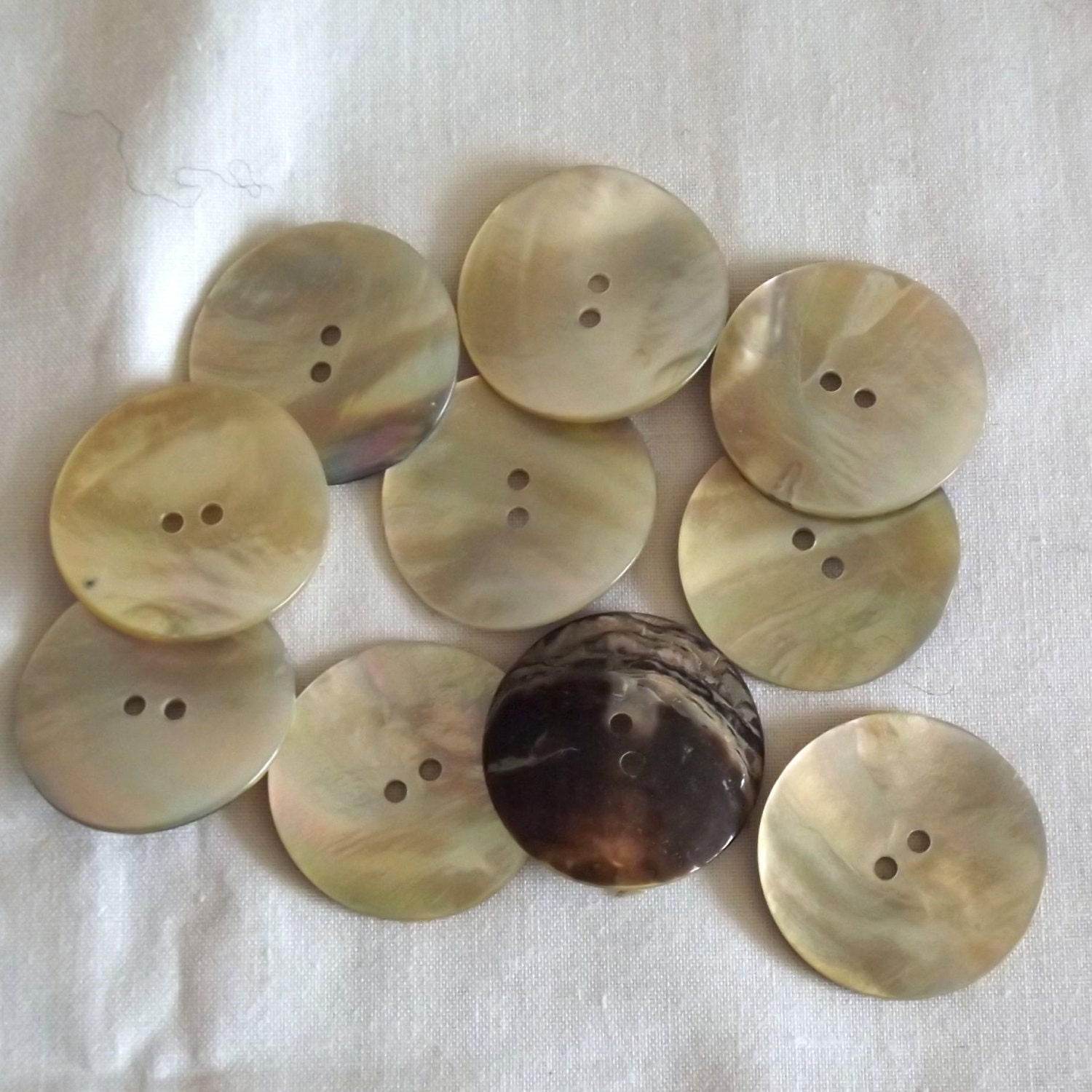 Natural Shell buttons 28mm x 2