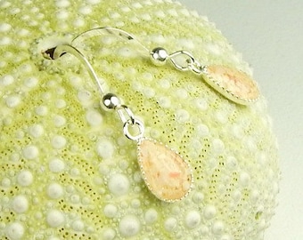 Pink sand beach | Etsy