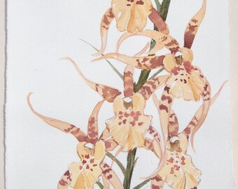 Orchid painting | Etsy