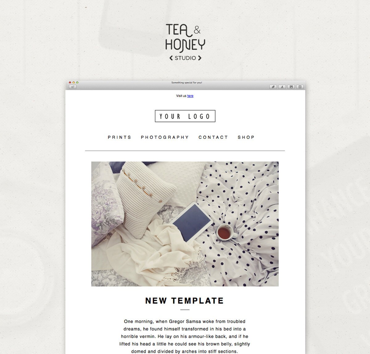 Email Newsletter Template Mailchimp Customizable Template