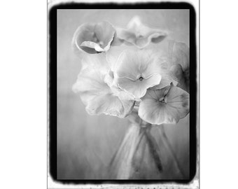 Lily of the Valley Sepia Flower Photography by JudyStalus on Etsy