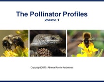 Unique hummingbird moth related items | Etsy