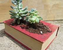 Popular items for book planter on Etsy