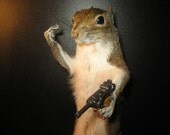 THE WILD FEW by THEWILDFEW on Etsy