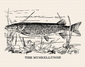 Muskie fish art | Etsy