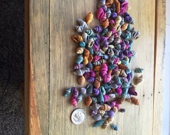Mini sea shells | Etsy