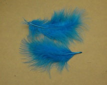 Popular items for light blue feathers on Etsy