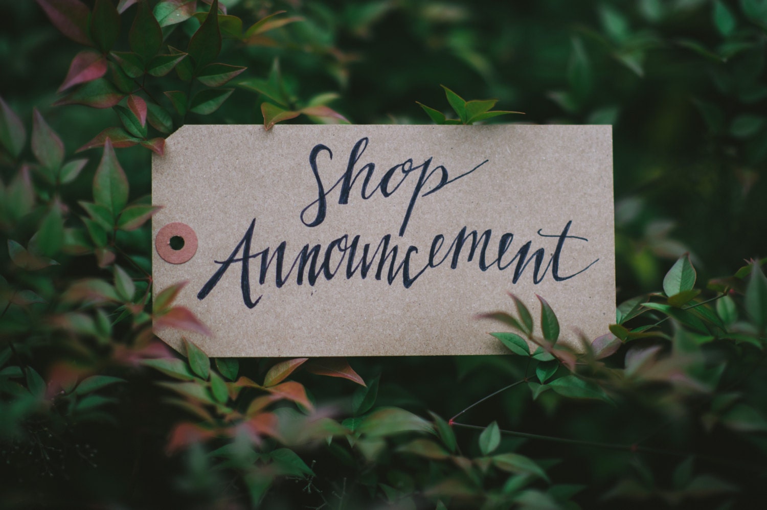 10 Sample Etsy Shop Announcement Gif Sample Factory Shop 10 Sample Etsy Shop Announcement Gif Sample Factory Shop
