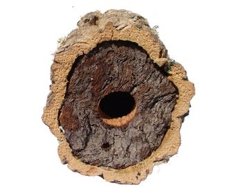 Unique bird houses | Etsy