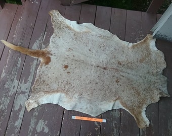 Fur Pieces Pick your Species Exotics African North by Furries