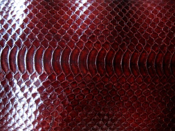 Items similar to maroon snake skin on Etsy