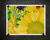 Original Oil and Acrylic Paintings and by sherrinelsonstudio