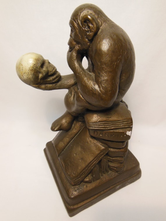 Monkey Ape Holding Human Skull Statue Sculpture Austin