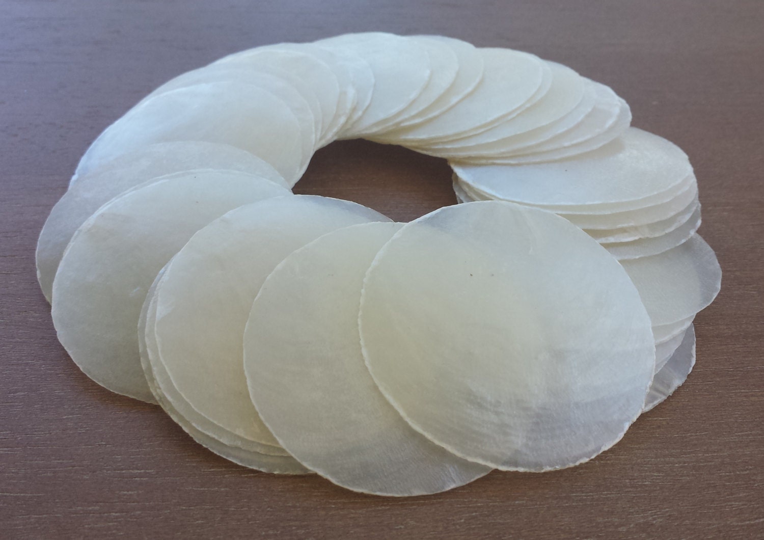 Capiz Shells Seashells Shells Beach Decor Home Decor Craft