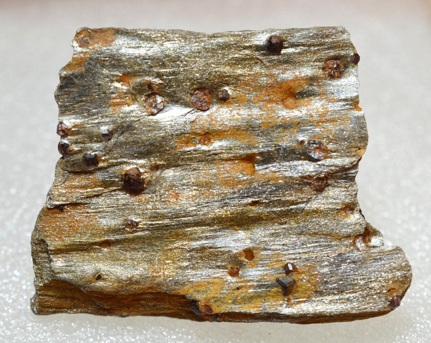 Shiny Piece of Garnet Mica Schist High-Grade Metamorphic