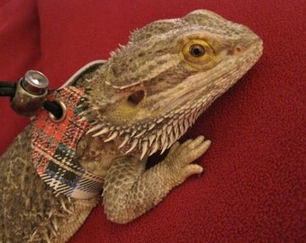 Stylish Reptile Harnesses by LizardLovers on Etsy