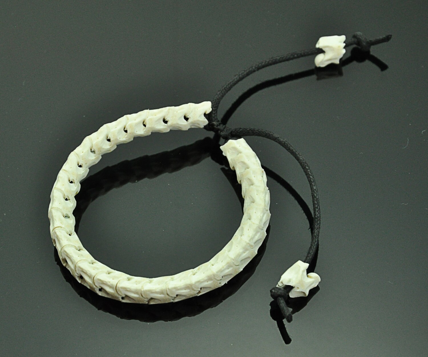 Natural White Real Genuine Snake Spine Bone skeleton Bracelet