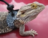 Stylish Reptile Harnesses by LizardLovers on Etsy