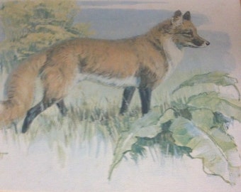 Vintage fox print | Etsy