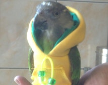 Popular items for parrot hoodie on Etsy