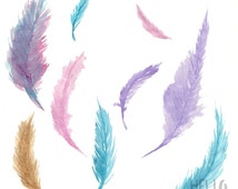 Watercolor Pastel Feathers PNG Clipart