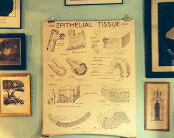 Vintage science poster | Etsy