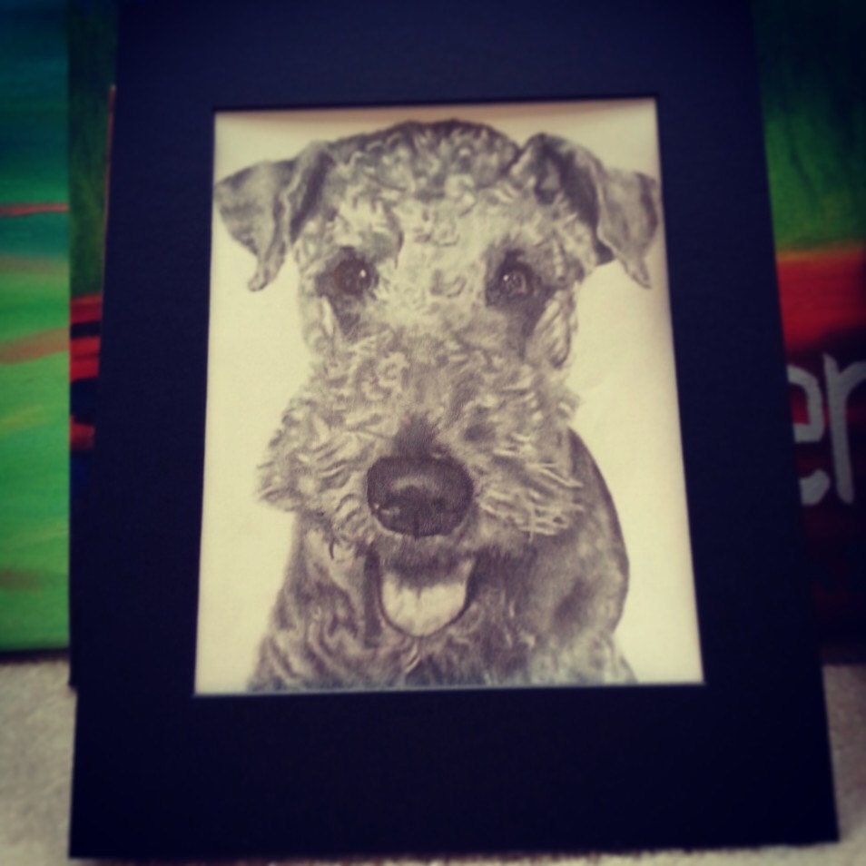 Custom Pet Drawing: To Exhibit or Honor your Best by TouchAWetNose