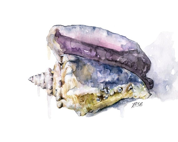 Seashell Painting Print from Original Watercolor Painting