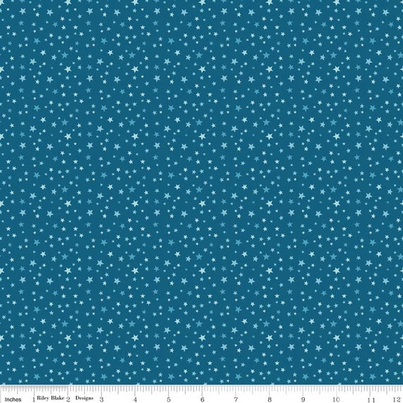 Blue Star Fabric Riley Blake Fabric Roundup C3745 Blue Teal