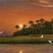 Lowcountry Morning by Carol Ann Curran Fine Art Print