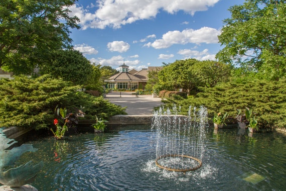 Scenic Digital Backdrops Set 1 by ClariceCreates on Etsy