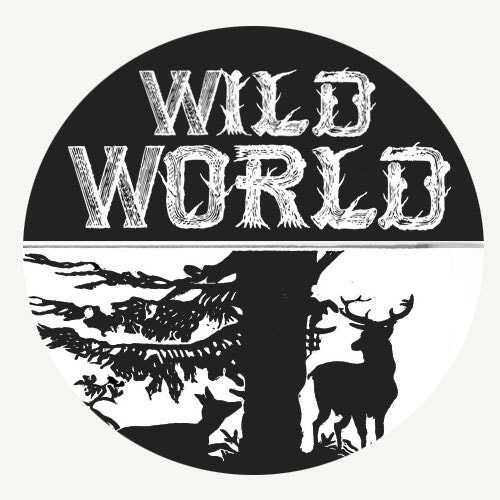 The Wild World: A world of vintage finds by TheWildWorld on Etsy