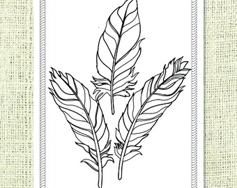 Feather coloring | Etsy