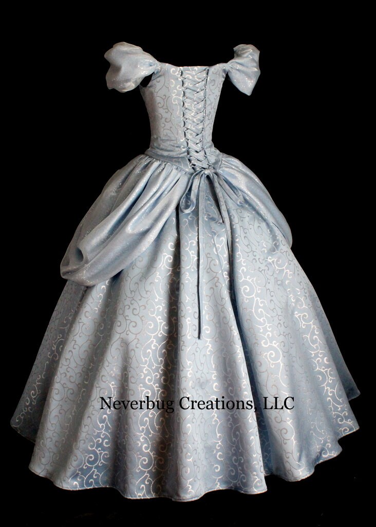 Adult Cinderella New Parks Custom Costume By Neverbugcreations